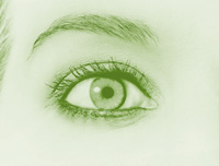 Optometric Management | PentaVision