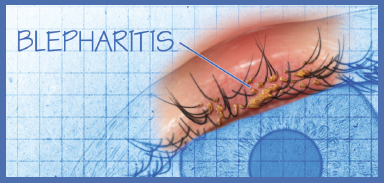 Optometric Management | PentaVision