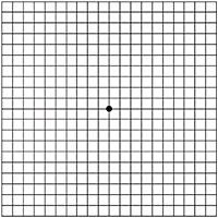 Optometric Management | PentaVision